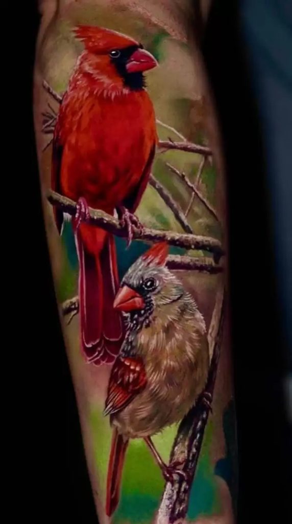 Discover the Meaning and History of Cardinal Tattoo Outline ...